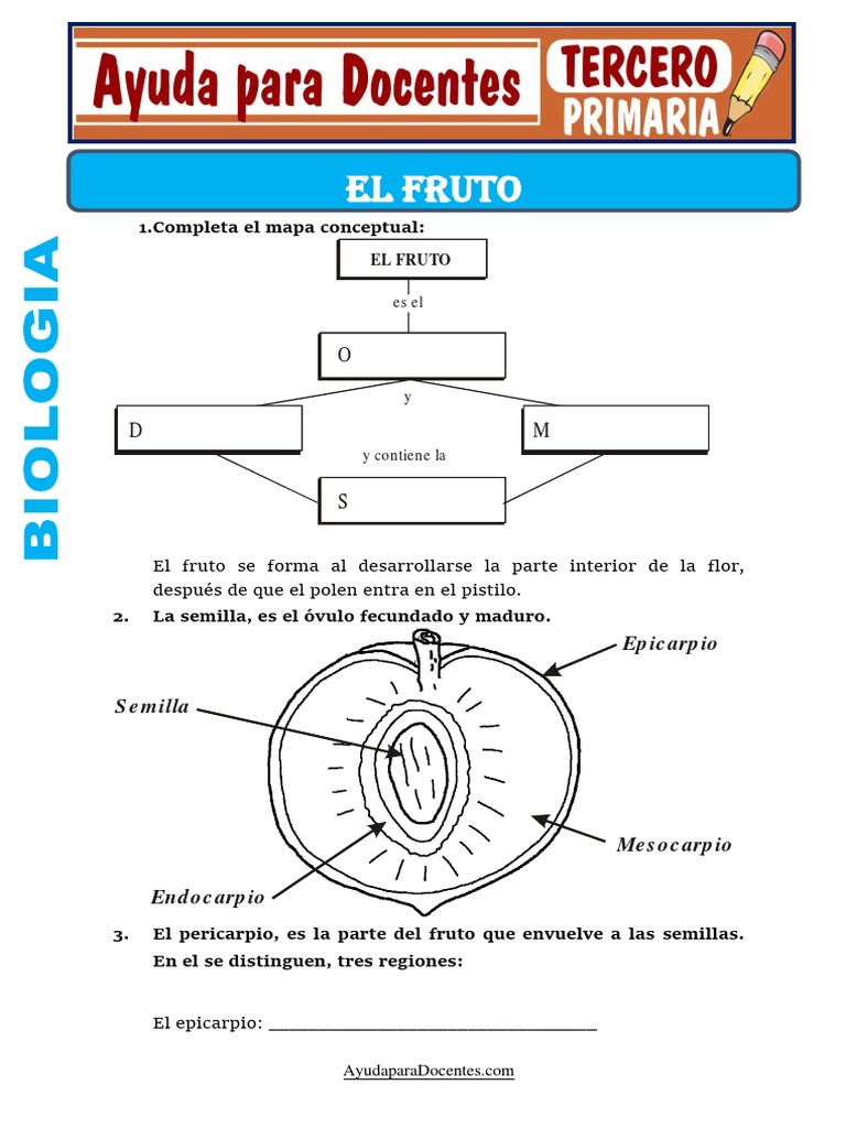 El Fruto para Tercero de Primaria | Descargar gratis PDF | Fruta ...