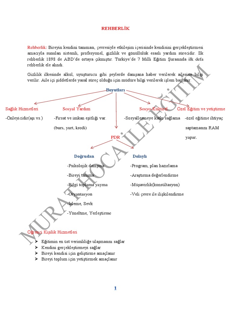 REHBERLİK | PDF