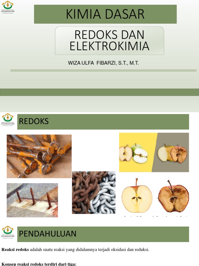 Redoks Dan Elektrokimia | PDF