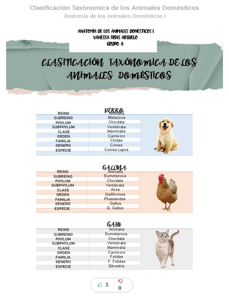 Clasificación de Animales Domésticos | PDF | Taxa | Organismos