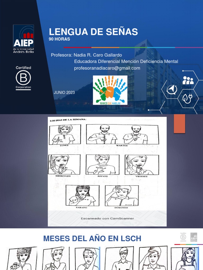 Clase 16 y 17 LSCH | PDF | Lenguaje de señas | Evaluación