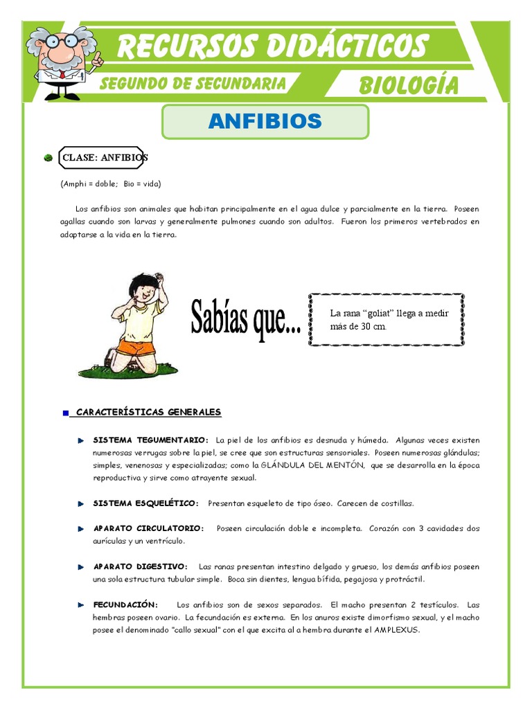 Los Anfibios para Segundo de Secundaria | PDF | Ciencia y matemáticas
