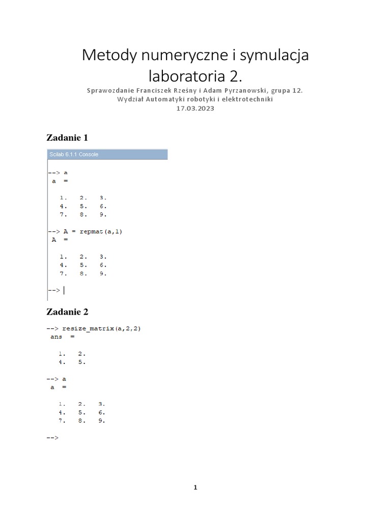 Metody Numeryczne I Symulacja Laboratoria 2 | PDF