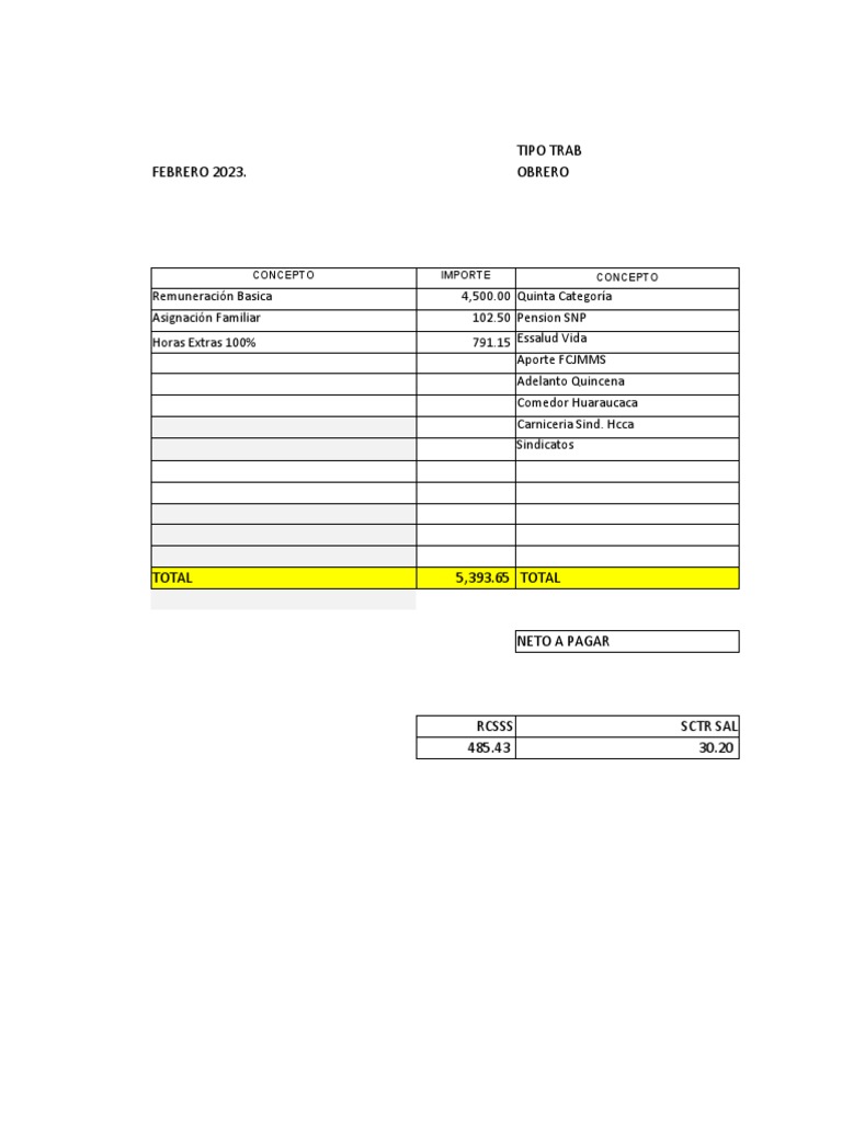 Exel Boletas Quiroz | PDF