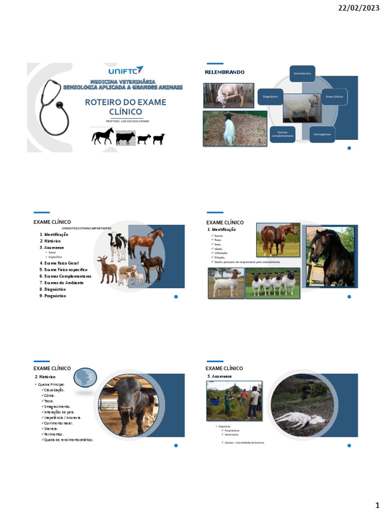 02 - Exame Clínico Geral | PDF