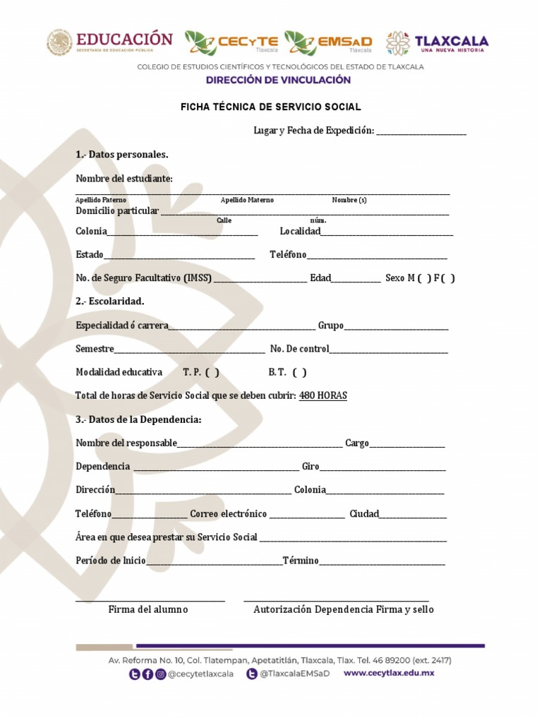 Formatos Ss Correctos para Alumnos | PDF