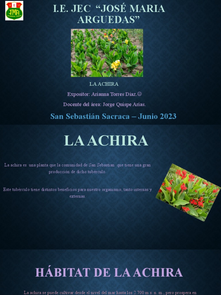 ACHIRA | PDF