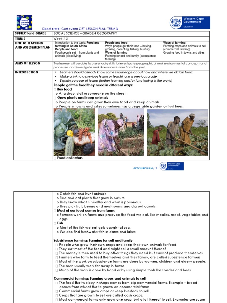 Lesson Plan GR 4 SS Geography T3 W1-3 | PDF | Farms | Farmer