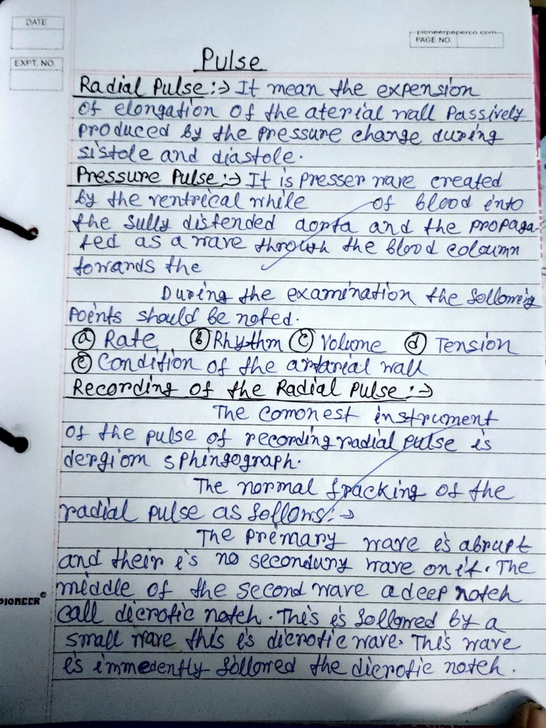 Pulse Practical | PDF