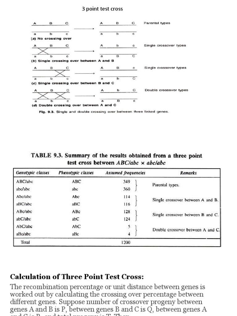 3 Point Cross | PDF | Teaching Methods & Materials 3 Point Cross | PDF | Teaching Methods & Materials