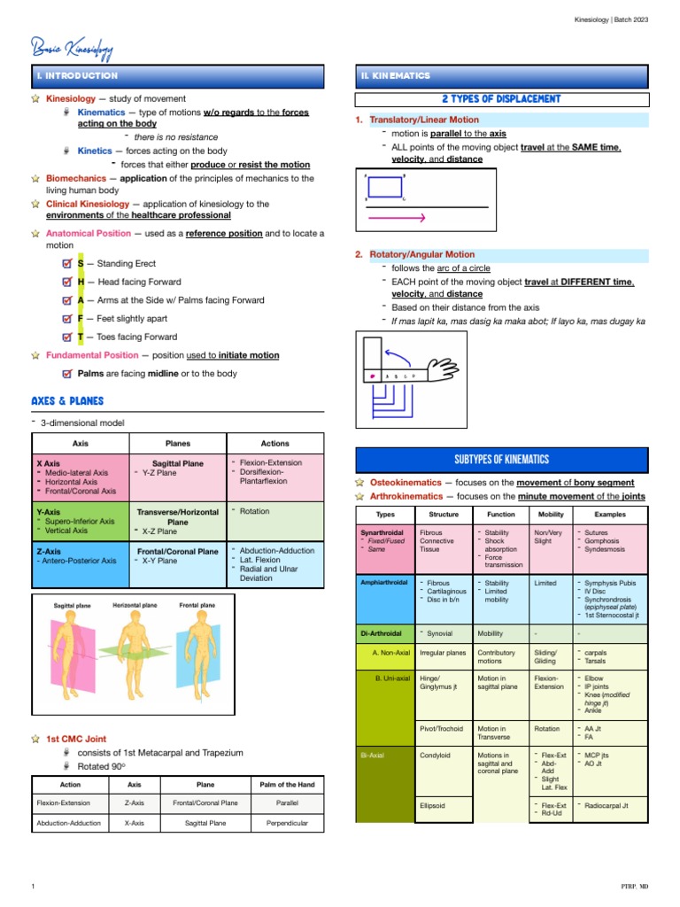 7) Basic Kinesiology | PDF