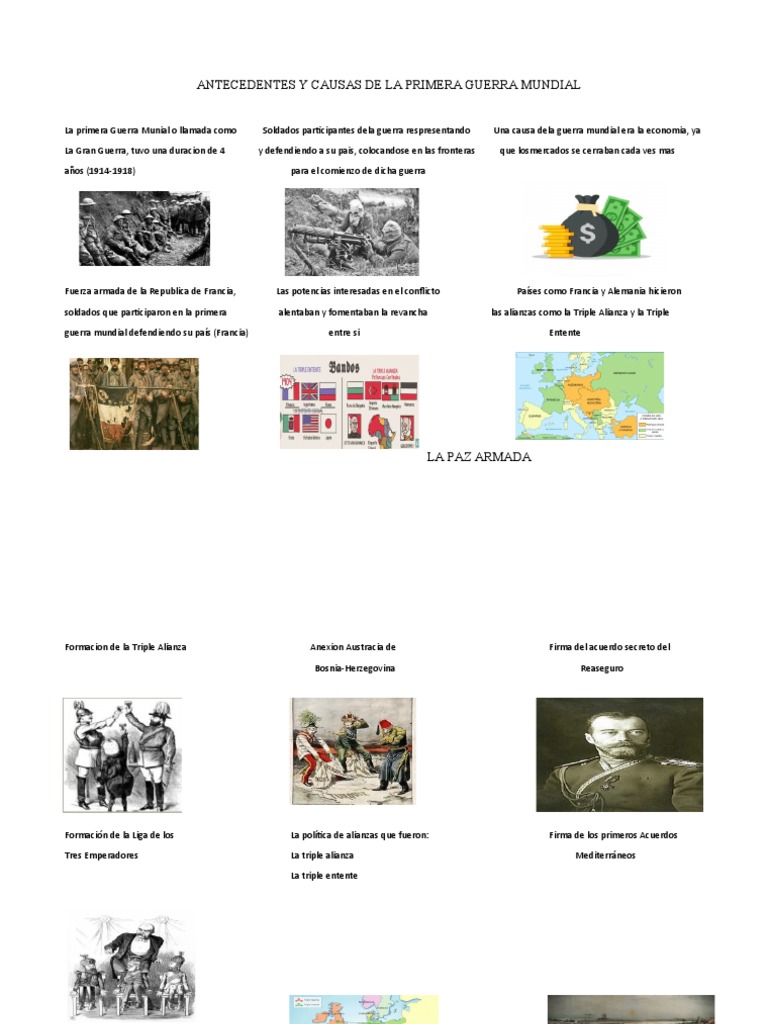 Causas de la Primera Guerra Mundial | PDF | Viajes y turismo