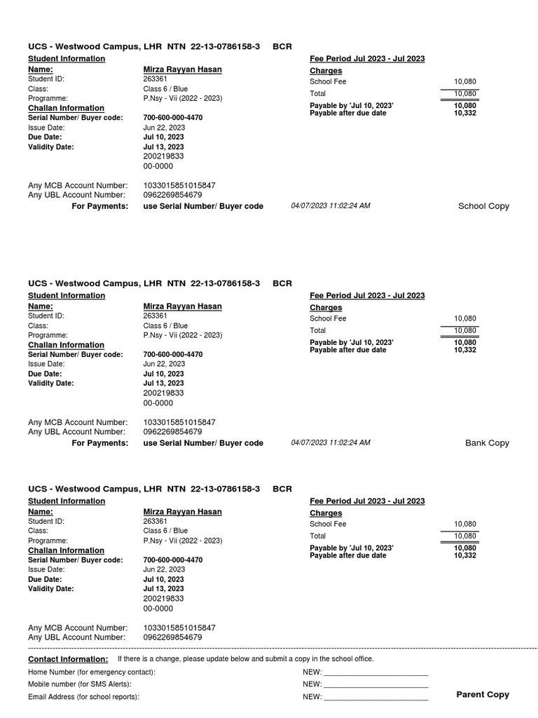 Mirza Rayyan Hassan Class 6 | PDF | Service Industries | Payments
