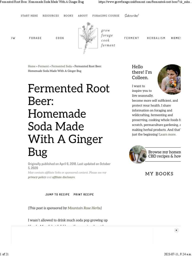 Fermented Root Beer Homemade Soda Made With A Ginger Bug | PDF | Soft ...