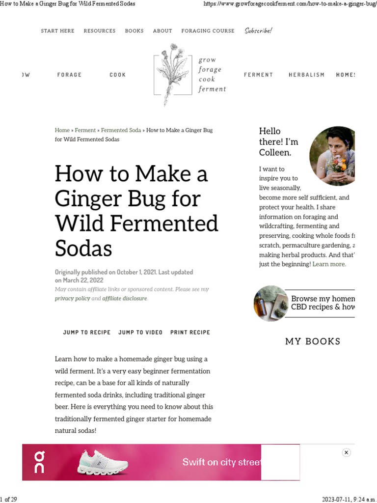 Ginger Bug: Easy Fermentation Guide | PDF | Ginger | Soft Drink