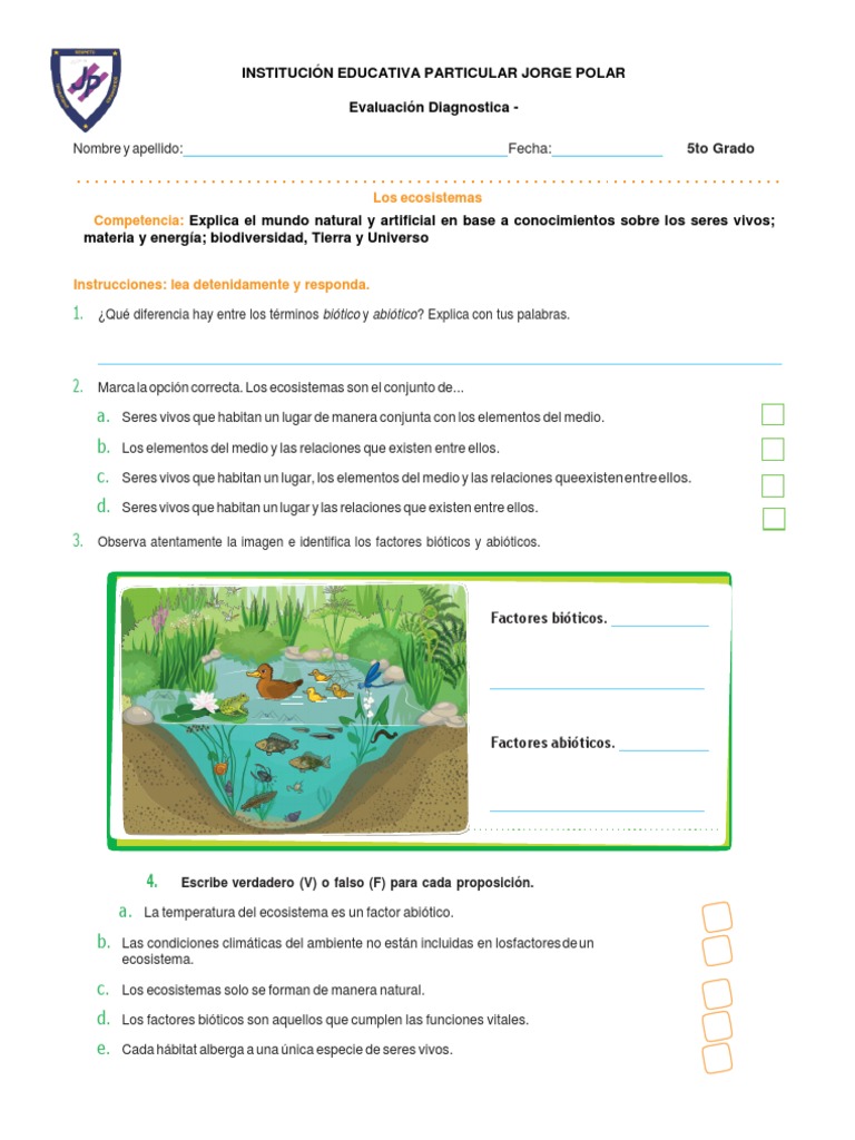 Evaluación Diagnostica 5to Ciencias | PDF | Ecosistema | Habitat