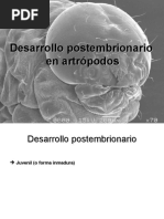 Preformismo y Epigénesis en Embriología | PDF | Anatomía | Science