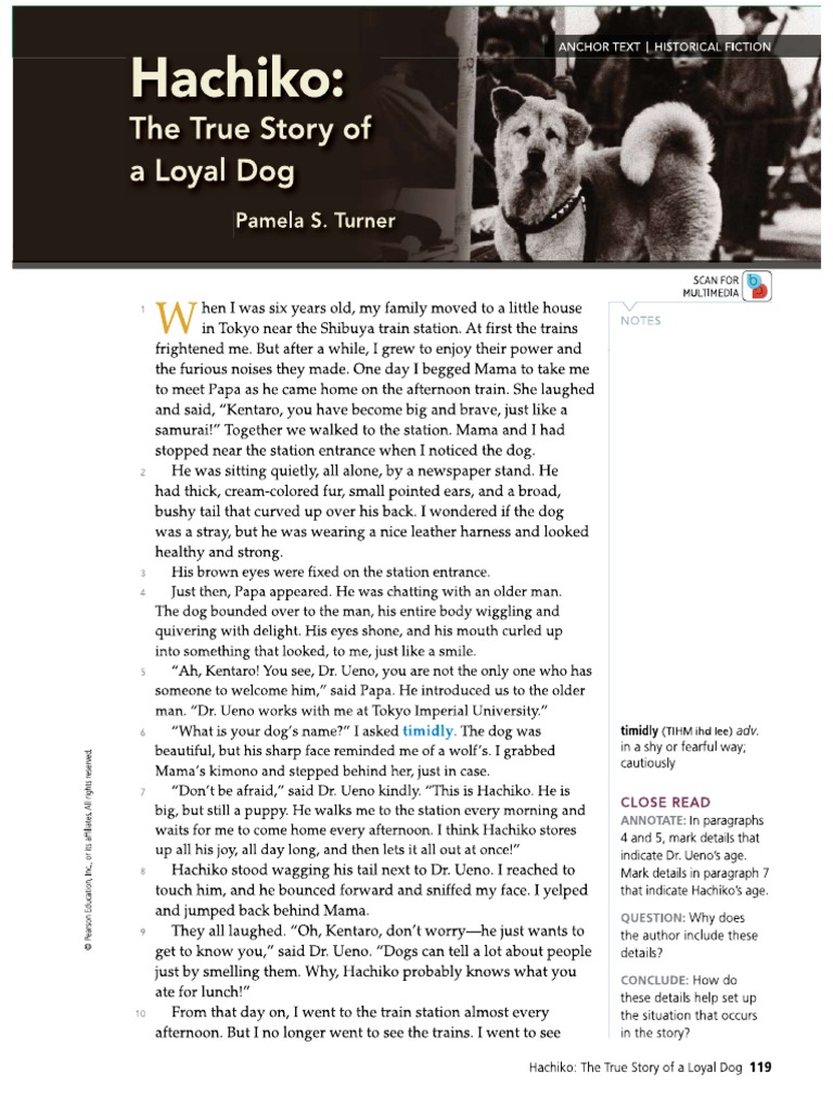 Week 3 6th Grade Reading Passage Hachiko | PDF