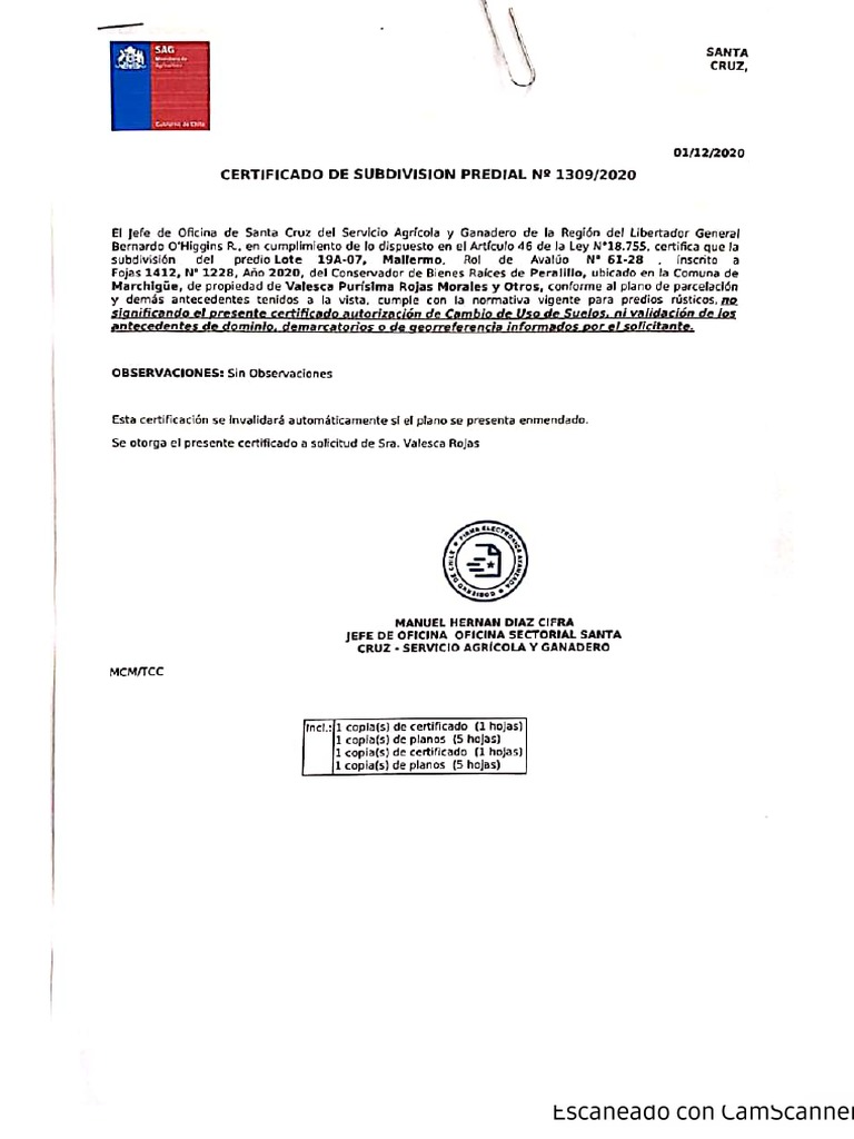 Certificado Sag | PDF