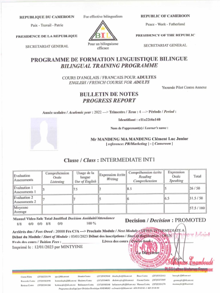 Progress Report | PDF