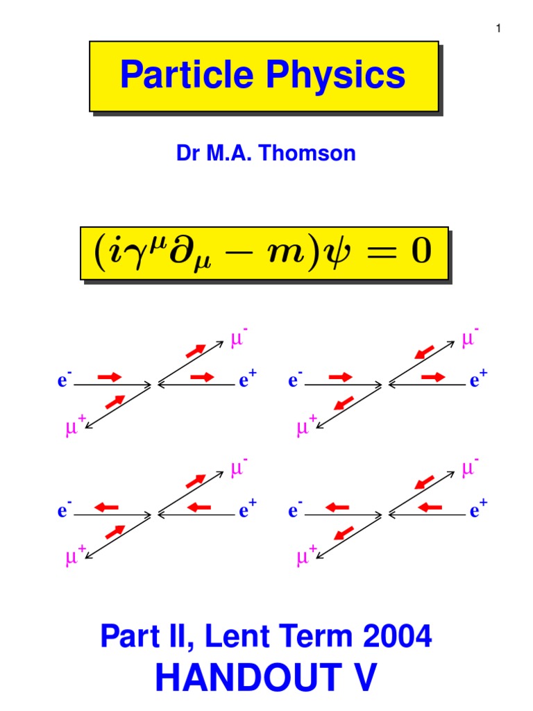 Spin, Helicity and The Dirac Equation | PDF | Spin (Physics) | Elementary Particle