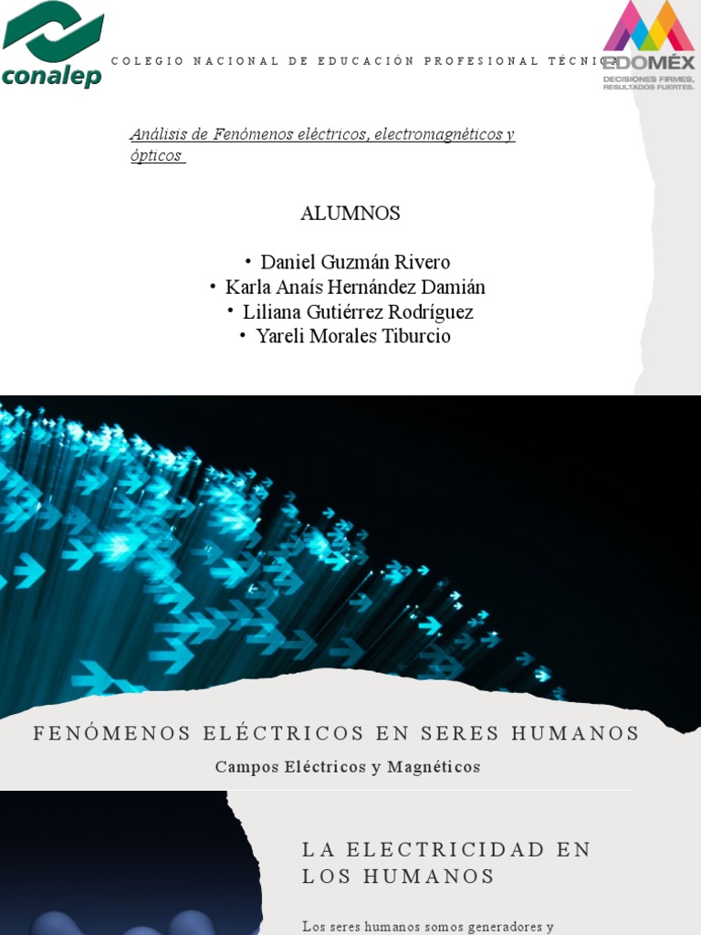 Campos Eléctricos y Electromagnéticos | PDF