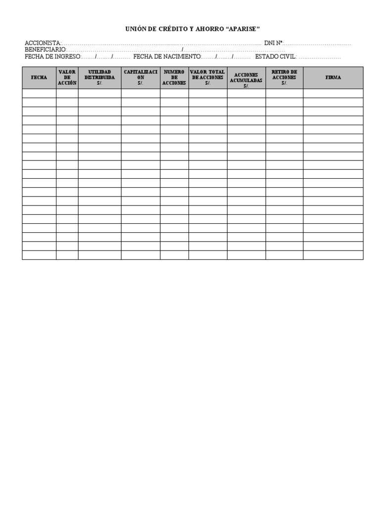 Formatos Registros Contables Aparise | PDF
