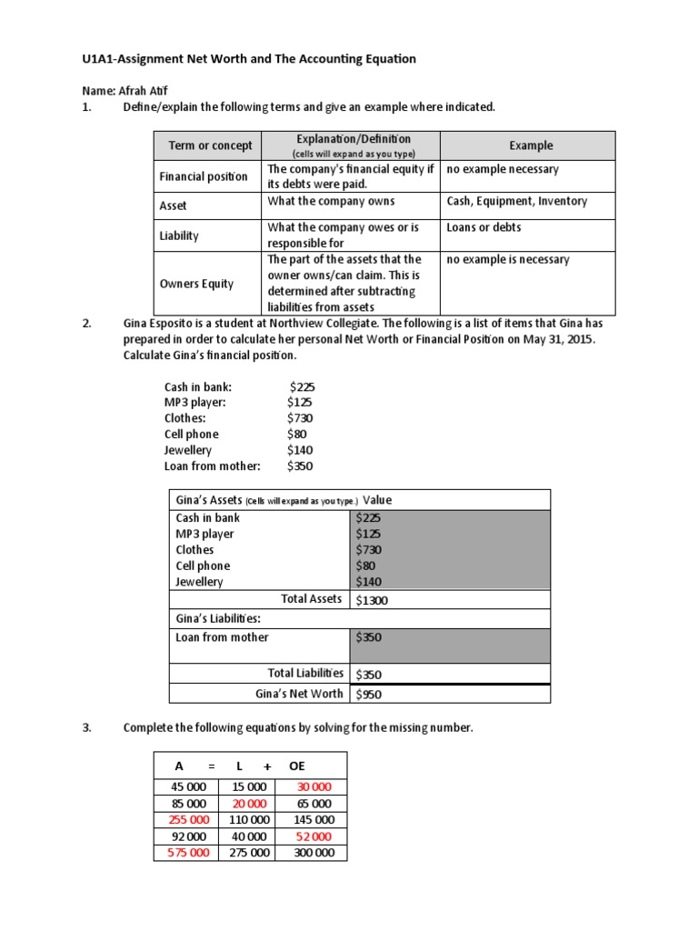 Net Worth Calculation and Accounting Basics | PDF
