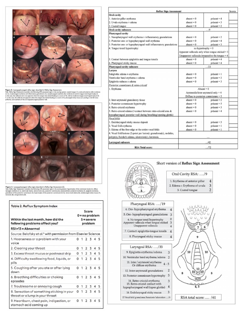 LPR Scoring | PDF