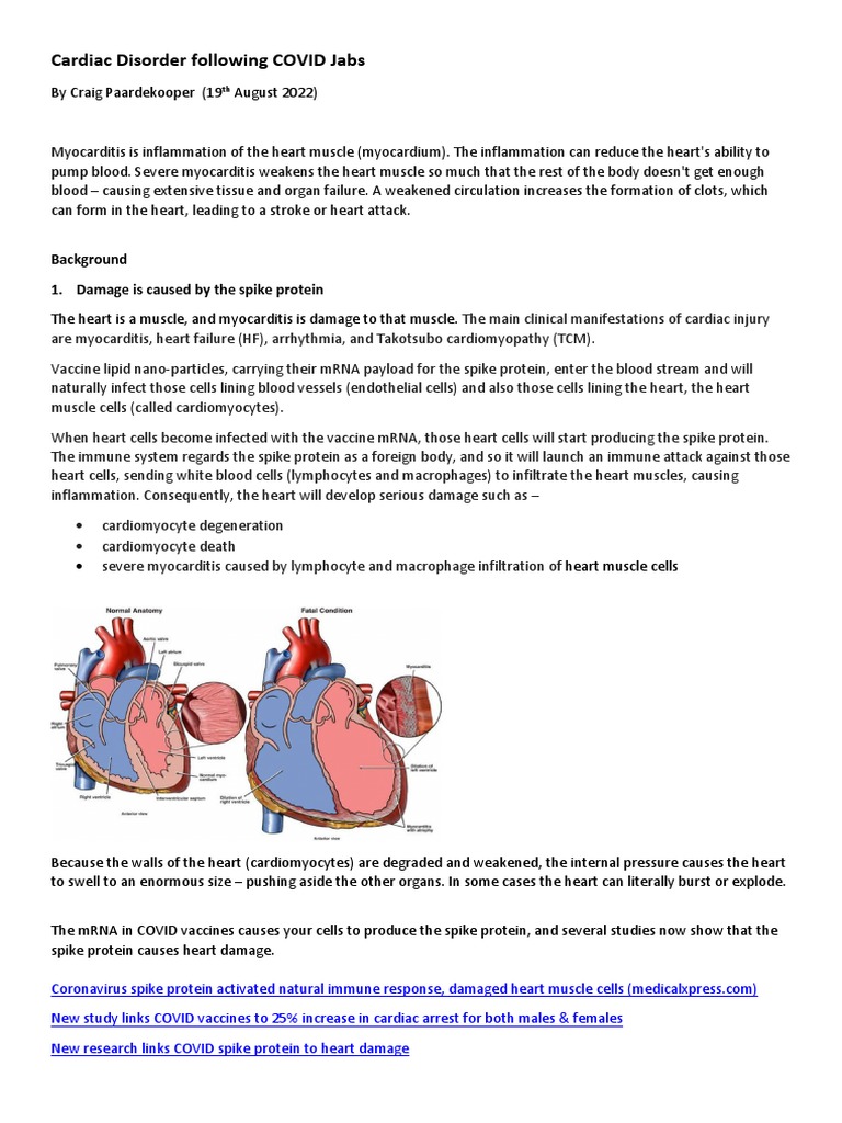 Cardiac | PDF | Heart | Atrium (Heart)