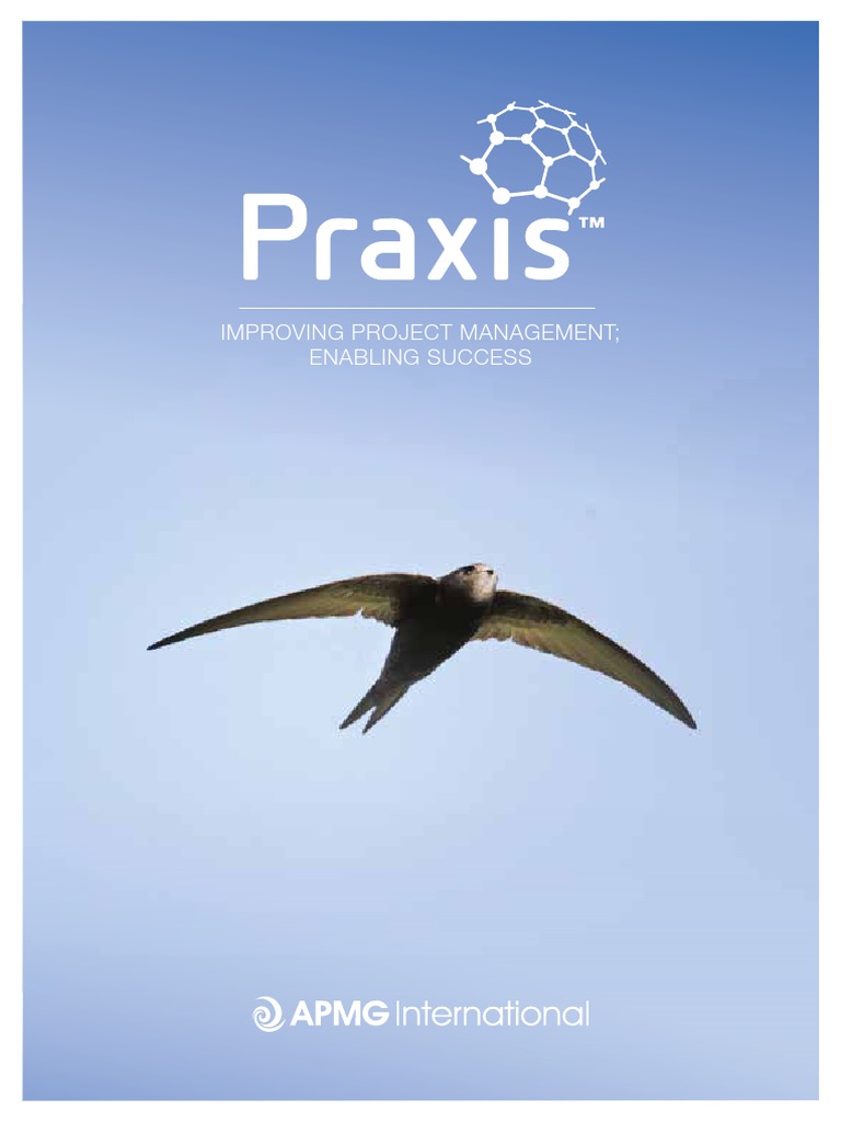 Praxis Framework Candidate Brochure - A5 Web | PDF | Project Management | Business