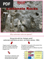 Dunham 1962 AAPG Classification of Carbonate Rocks | PDF | Limestone ...