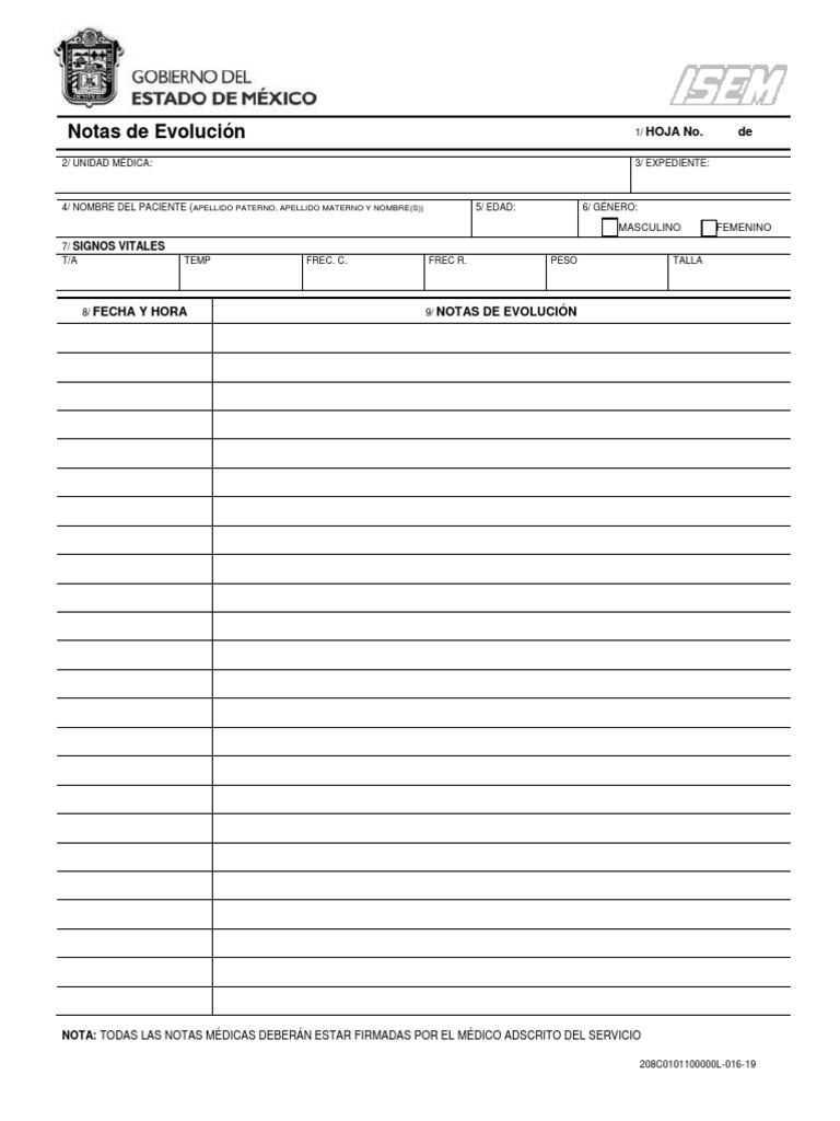 Formato Nota de Evolucion | PDF