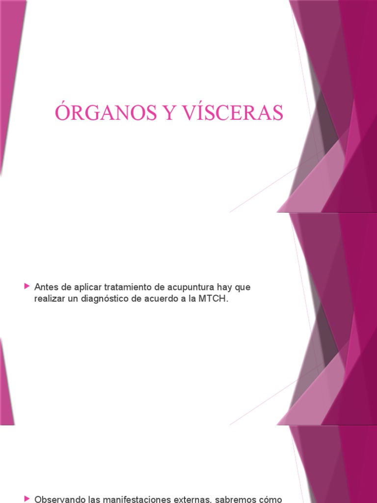 Funciones de Órganos y Vísceras Humanas | PDF | Sistema digestivo ...