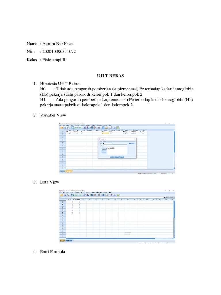 Aurum Nur Faza | PDF