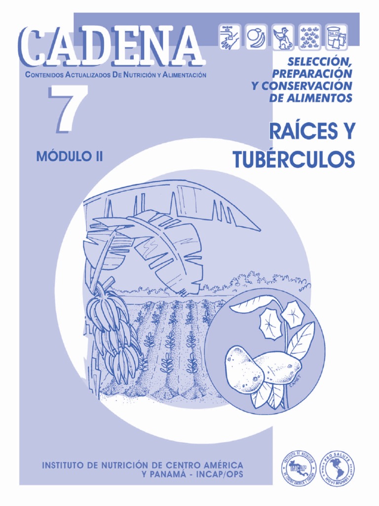 Texto Codificado Ininteligible | PDF