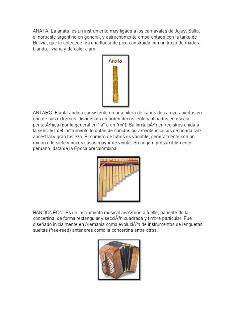 Instrumentos Folkloricos de Centro America y Del Sur | PDF ...