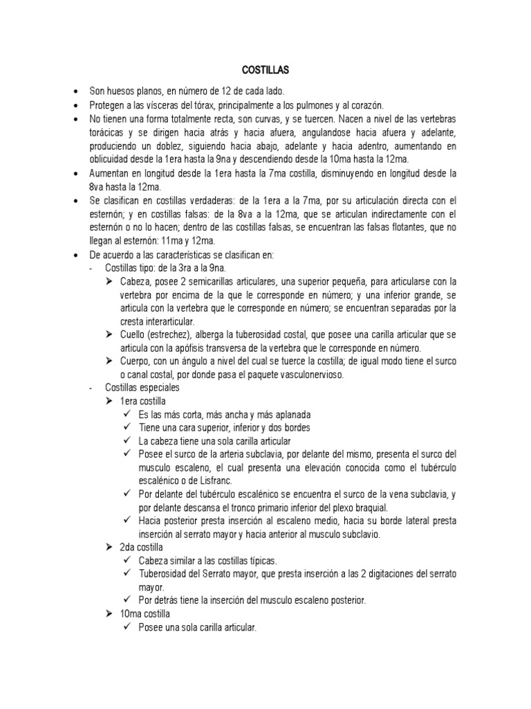 Anatomía de Costillas | PDF | Anatomía humana | Anatomía