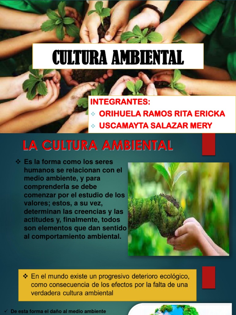 Cultura Ambiental | PDF | Entorno natural | Sustentabilidad