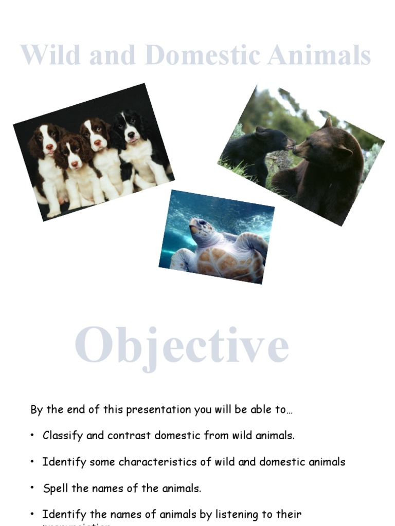 Wild vs Domestic Animals Overview | PDF | Mouse | Organisms