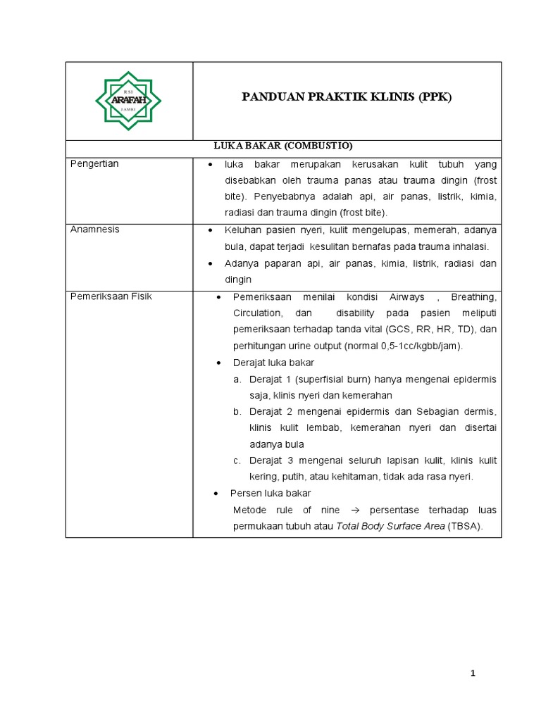 PPK Luka Bakar | PDF