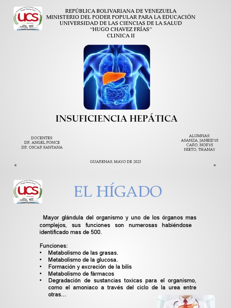 Insuficiencia Hepatica | PDF | Hepatitis | Hepatitis B