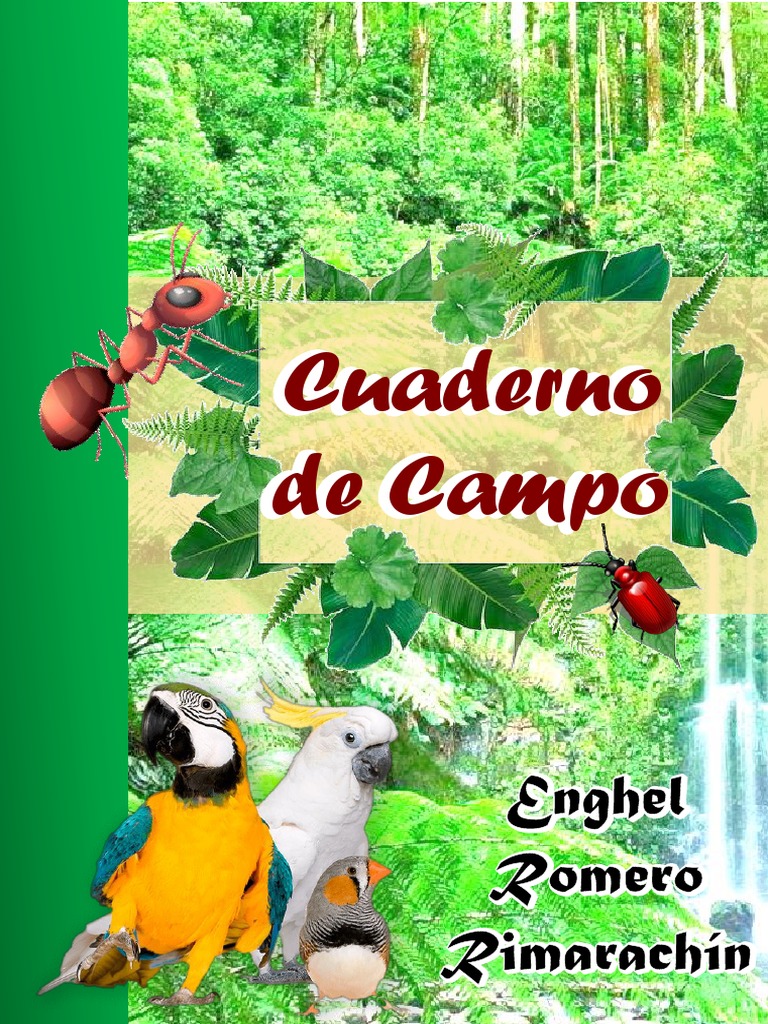 Caratulas Cuaderno de Campo | PDF