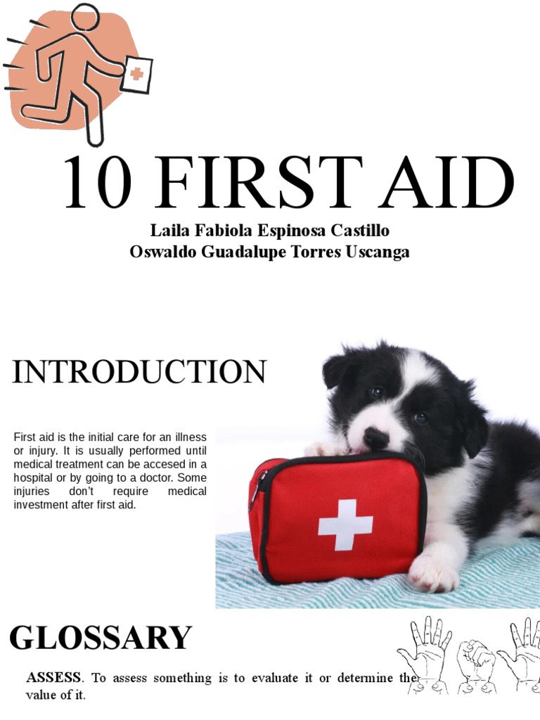 First Aid 10 | PDF | First Aid | Injury