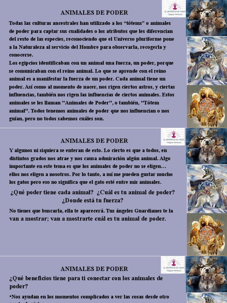 Descubre tu Animal de Poder | PDF