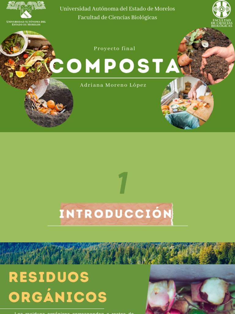 Proyecto Final Composta | Descargar gratis PDF | Compost | Suelo