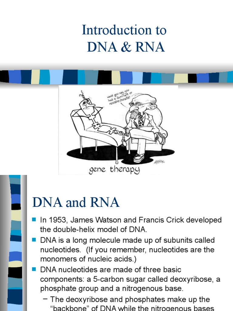 BIO 201 Introduction To DNA and RNA | PDF | Rna | Dna