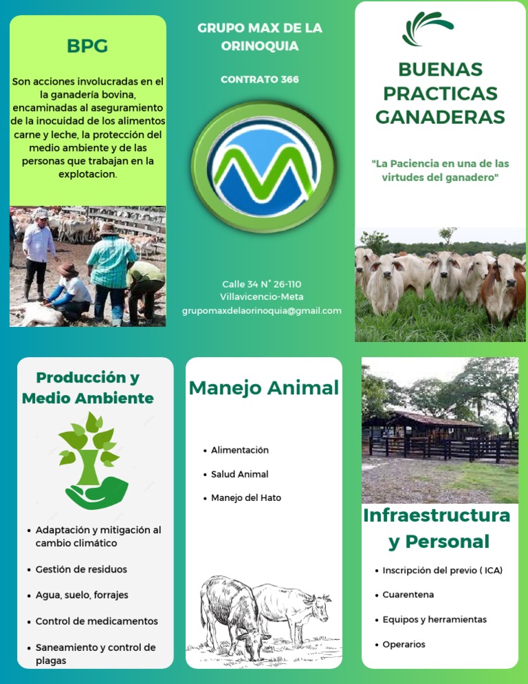 Folleto de Buenas Practicas Ganaderas | PDF