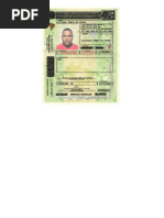 CNH Elia | PDF | Dirigir | Governo e personalidade