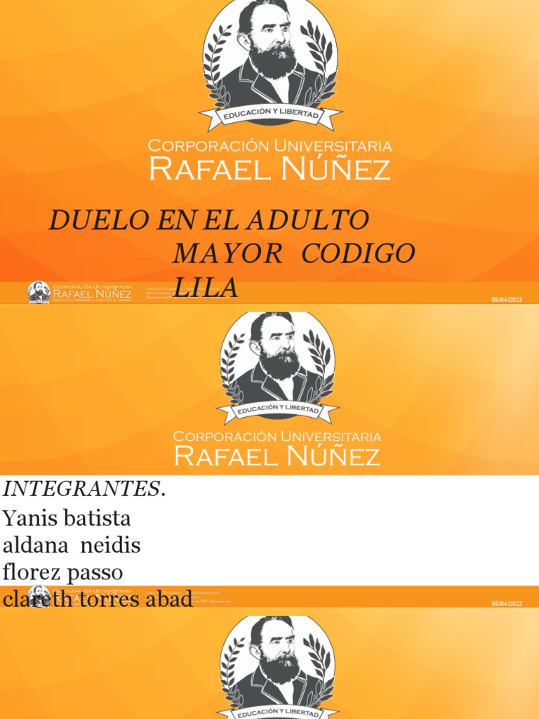 Duelo en El Adulto Mayor y Codigo Lila | PDF | Dolor | Adultos